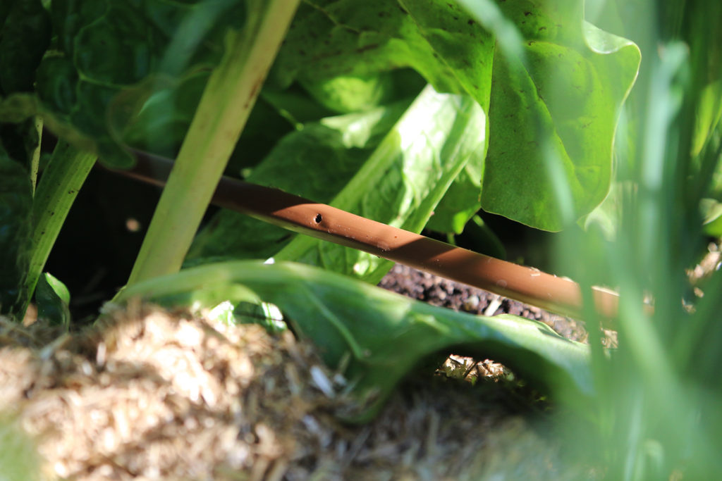 Waterwise Garden at Perth Royal Show - Holman Industries