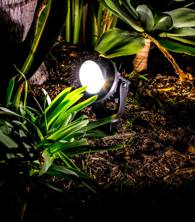 100mm Warm White Spotlight - Holman Industries