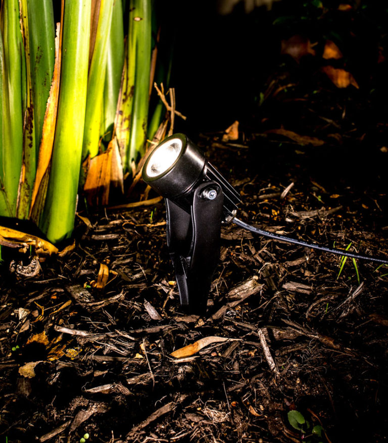 43mm Warm White Spotlight - Holman Industries