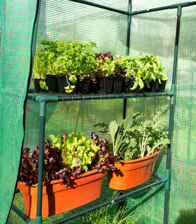 Walk-in Greenhouse Kit - Holman Industries