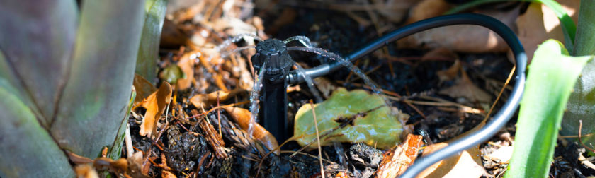 How to convert a Sprinkler into a Drip Irrigation System - Holman ...