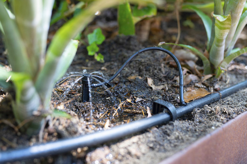 How to convert a Sprinkler into a Drip Irrigation System - Holman ...